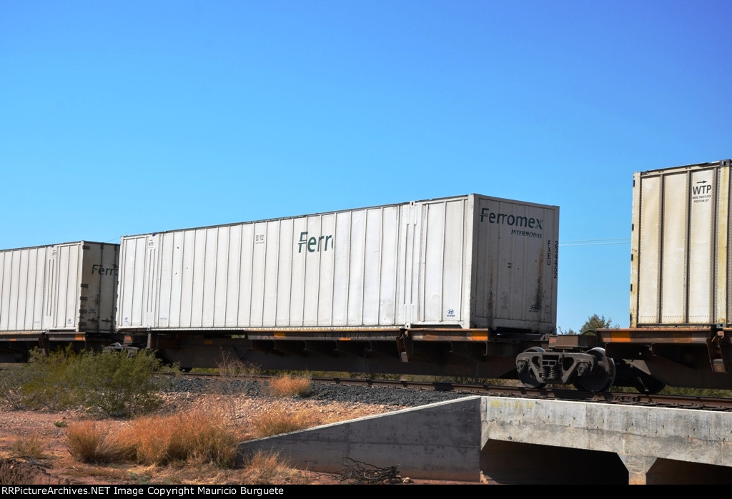 TTRX Spine Car with Ferromex Container