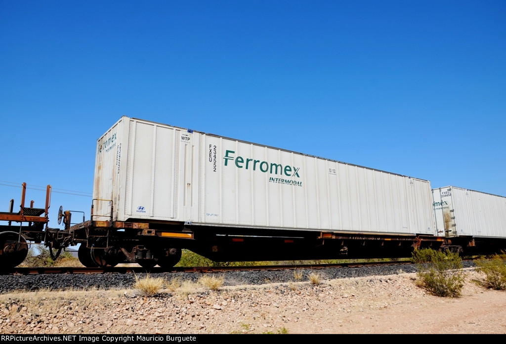 TTRX Spine Car with Ferromex Container