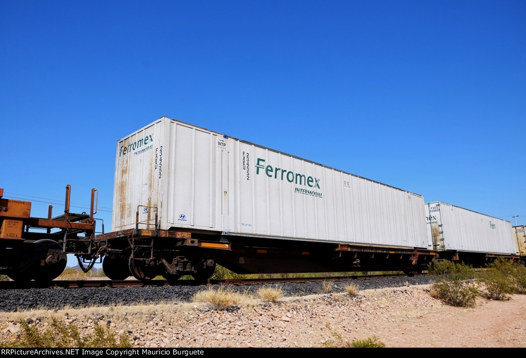 TTRX Spine Car with Ferromex Container