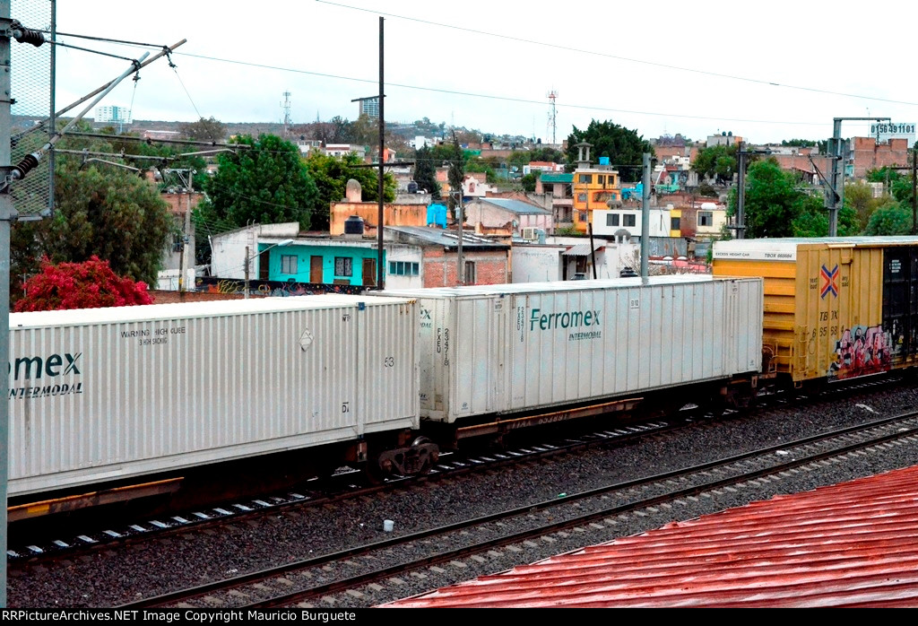 TTAX Spine Car with Ferromex containers