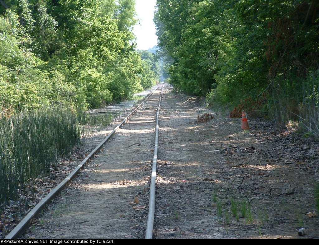 Looking north at MP 215