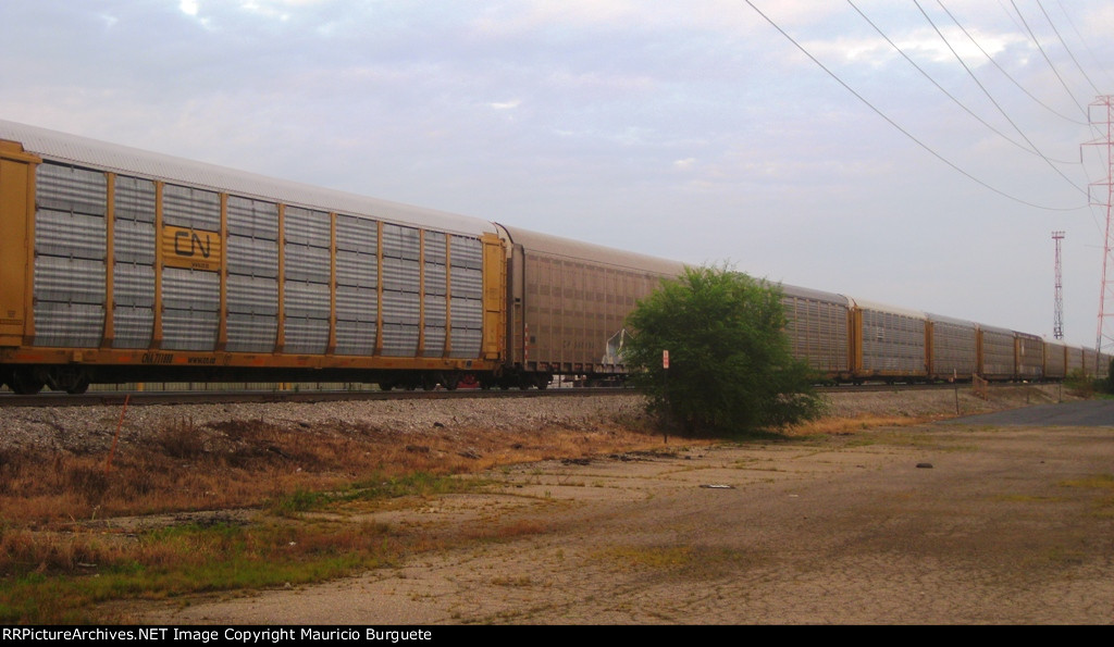 Autoracks at the yard