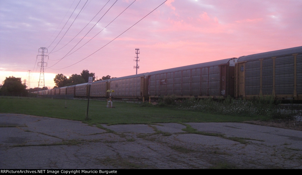 Autoracks train at Oakwood yard