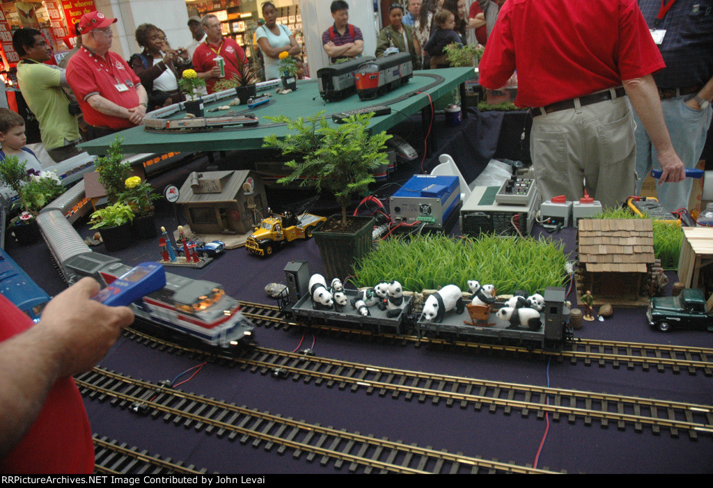 Model Train Display