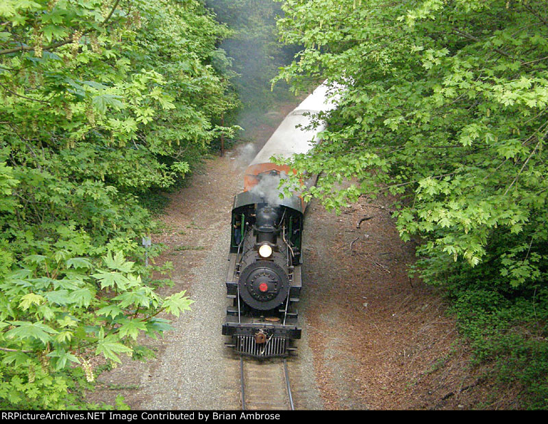 Polson Logging 2-8-2 70