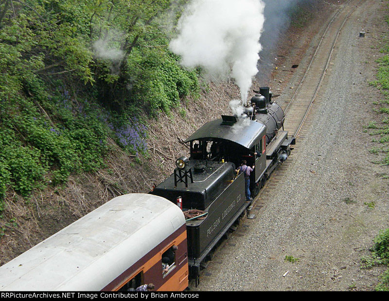 Polson Logging 2-8-2 70