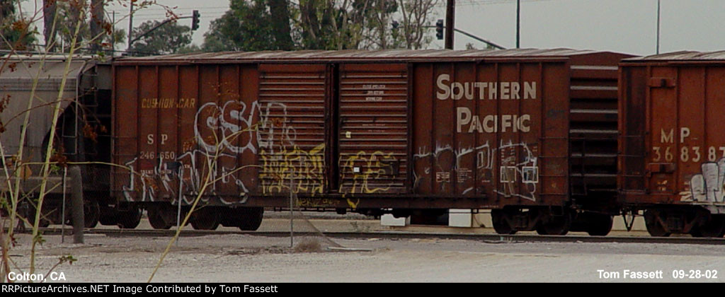 SP 246650
