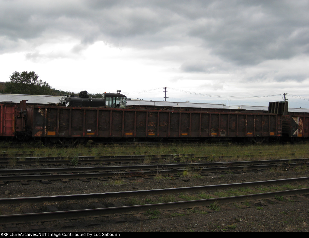 CP 336781
