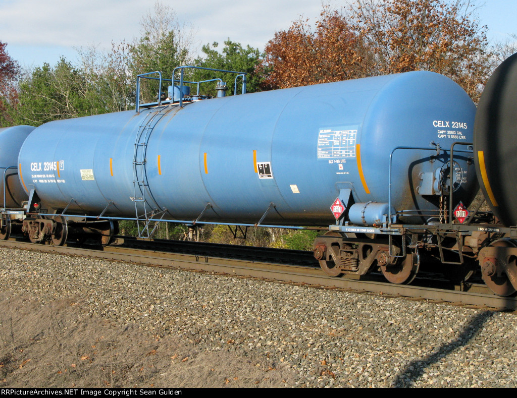 CELX 23145