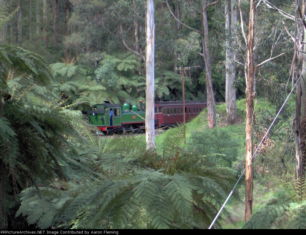 6A running cab forward through the trees