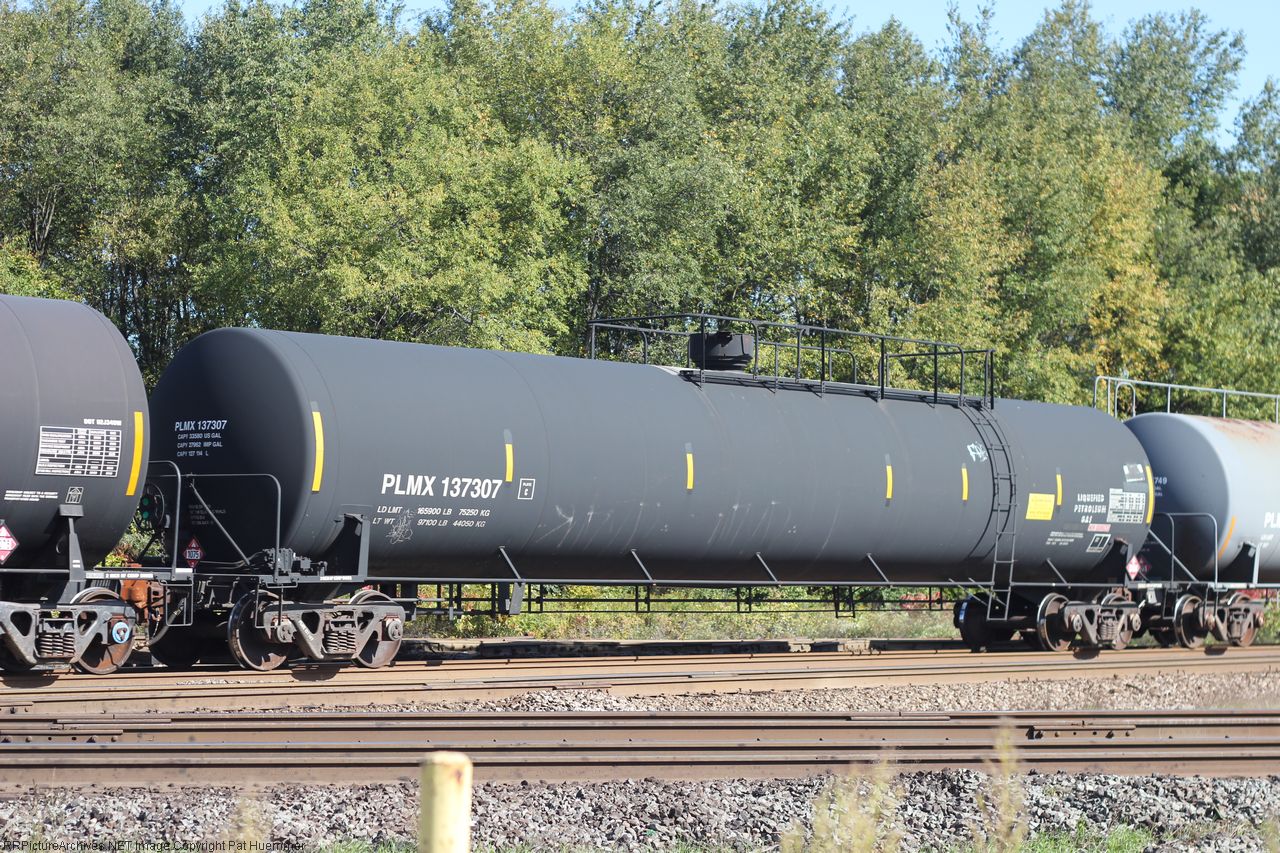 PLMX 137307