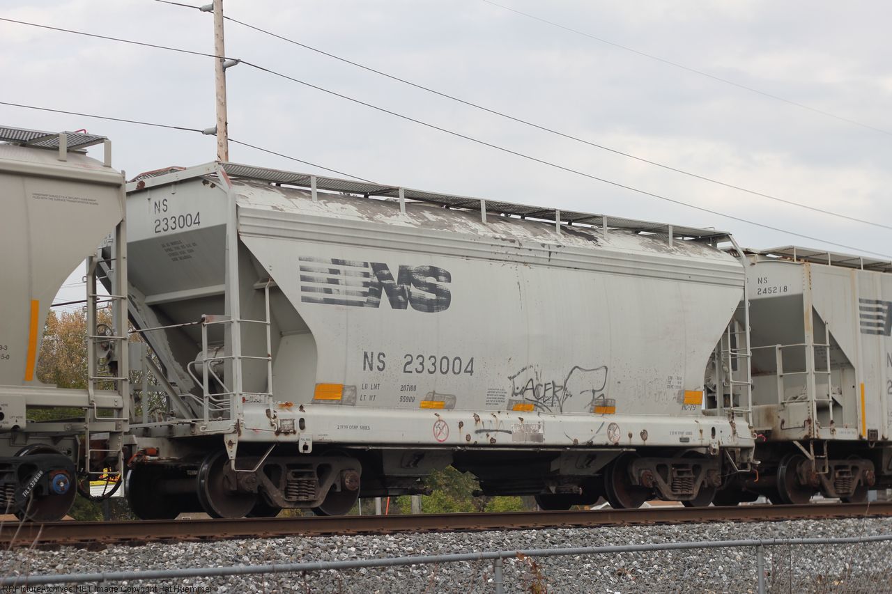 NS 233004