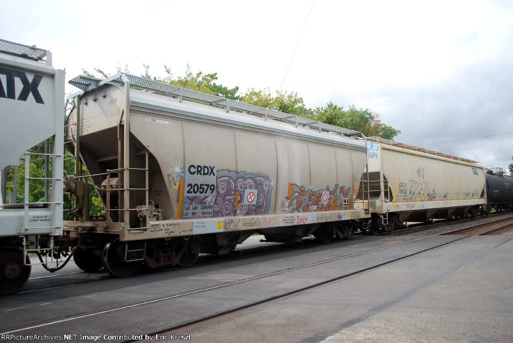 CRDX 20579