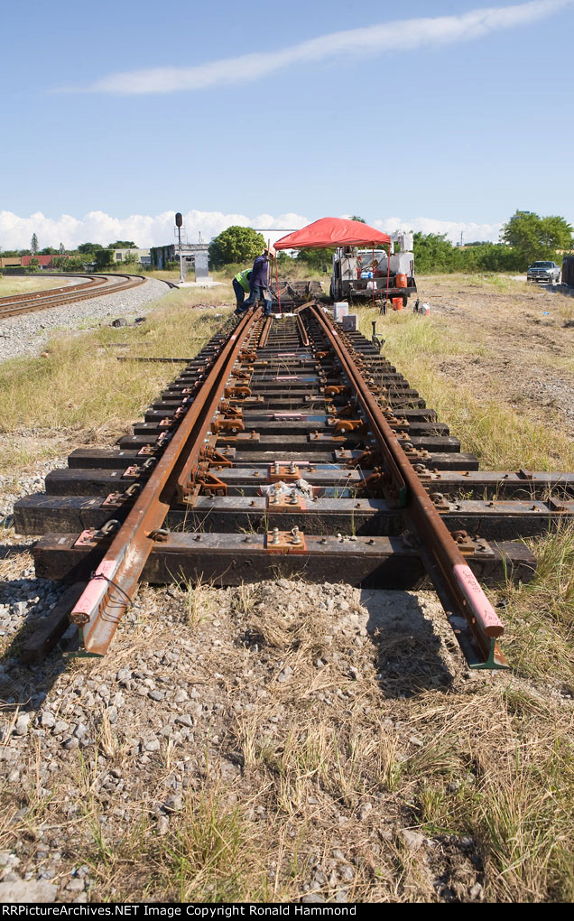 Port lead wye switch