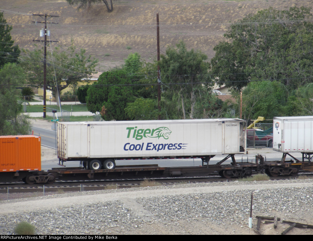 Tiger Cool Express