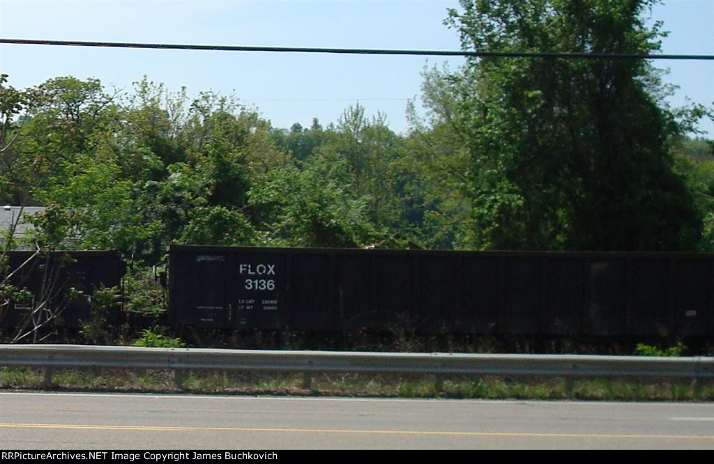 FLOX 3136