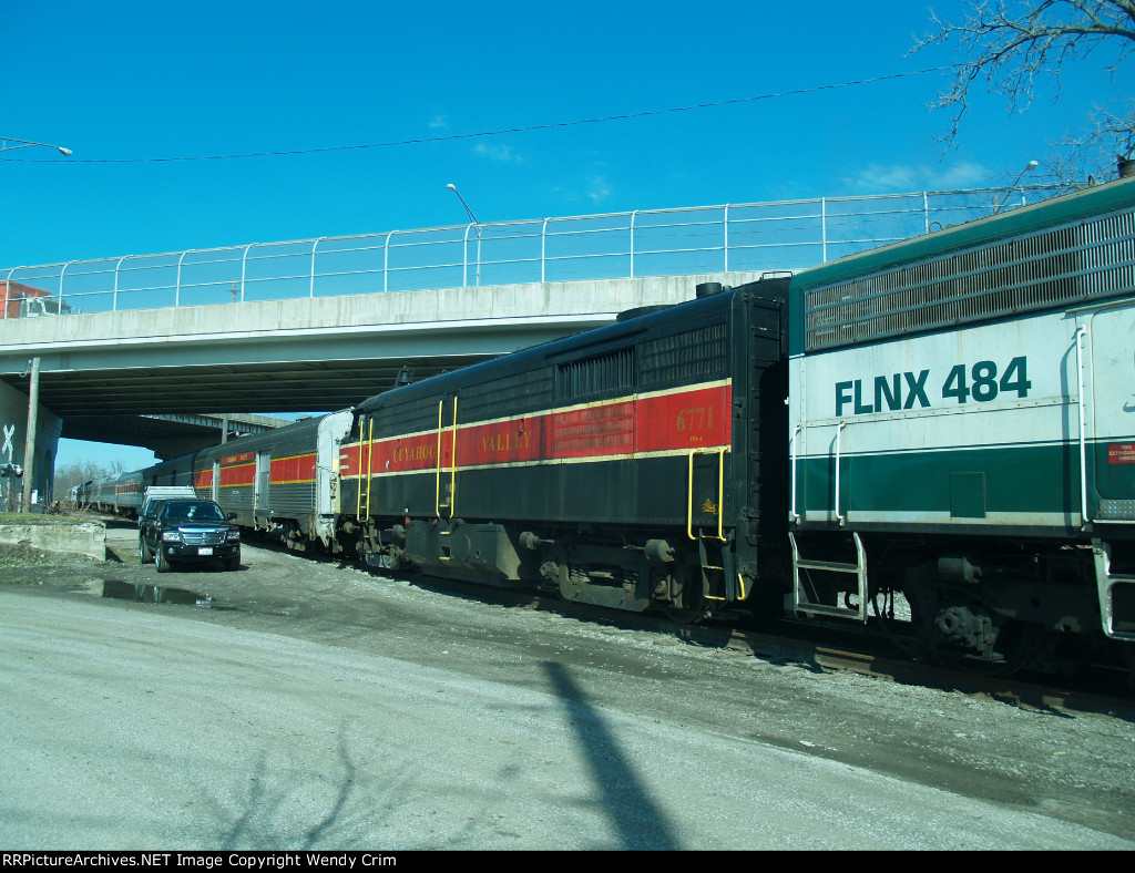 The horse she rode in on.