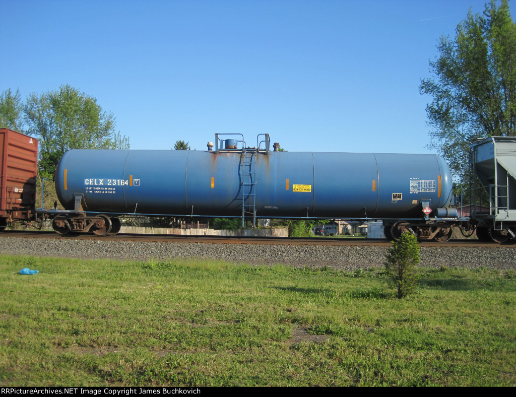 CELX 23164