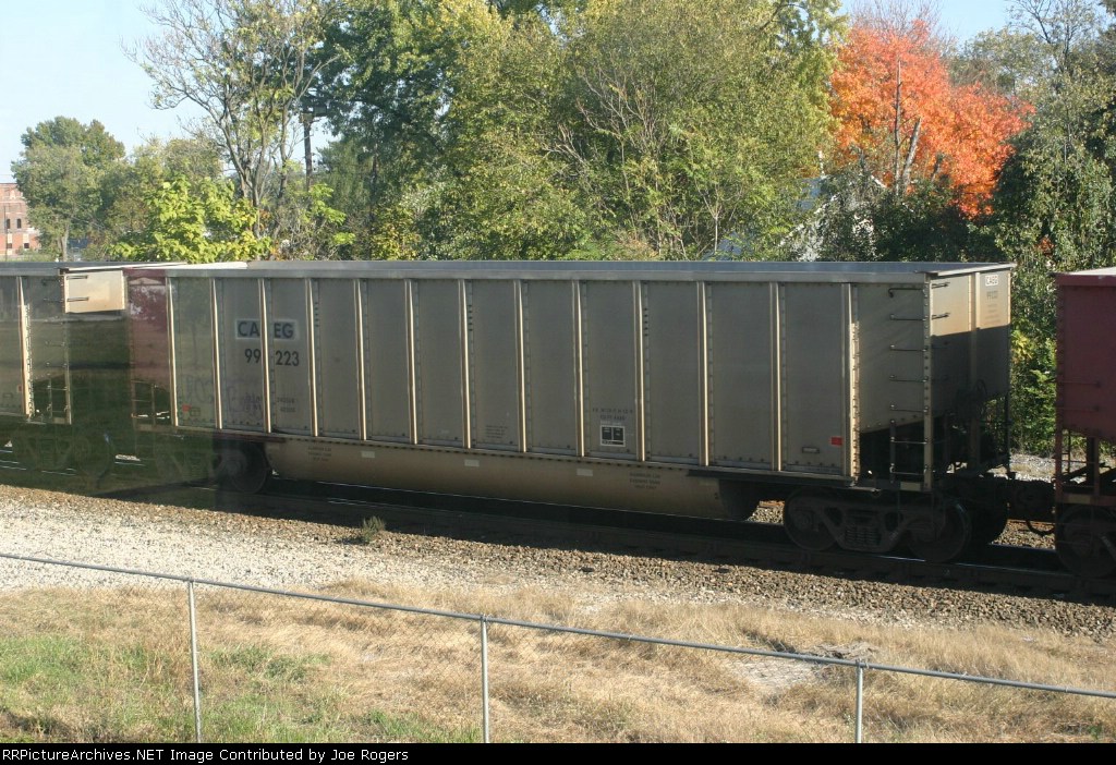 CAEG 99223