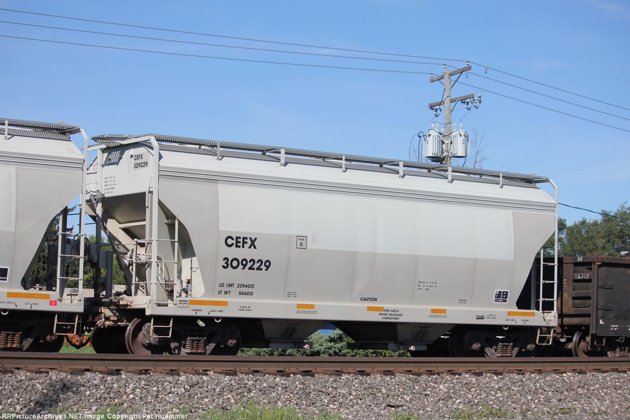 CEFX 309229