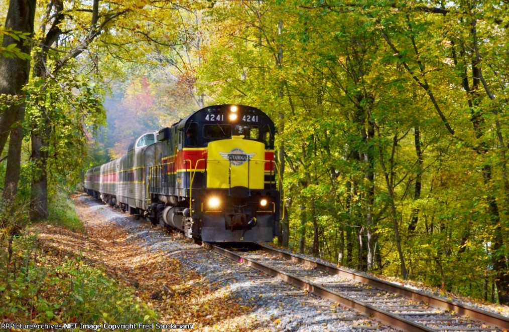 CVSR 4241