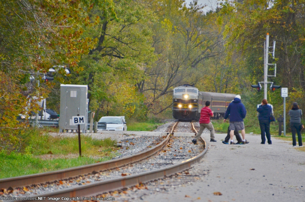 By now the horn has taken on a far more urgent tone.