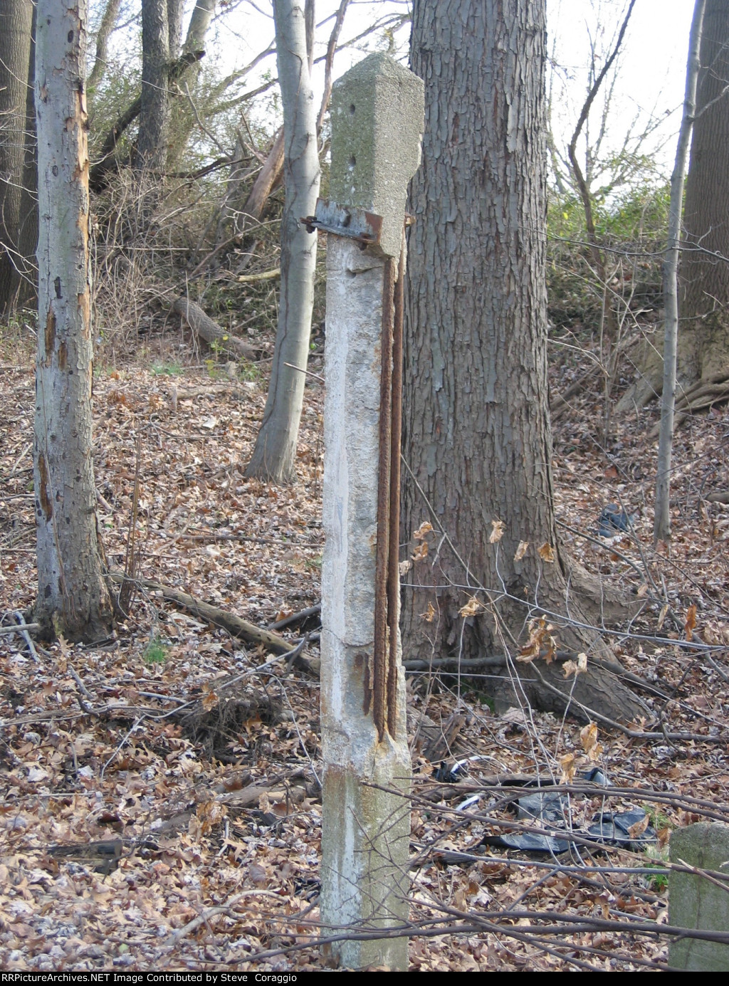 Vertical Concrete Post