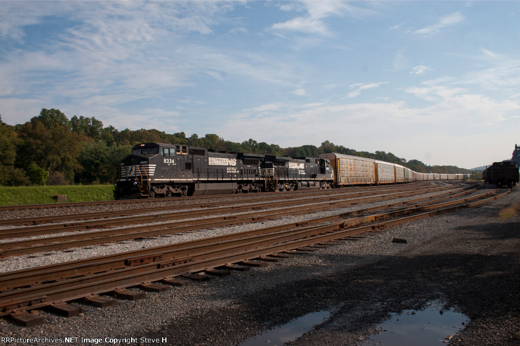NS 8334