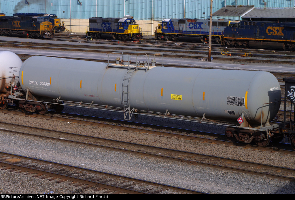 CELX 23608