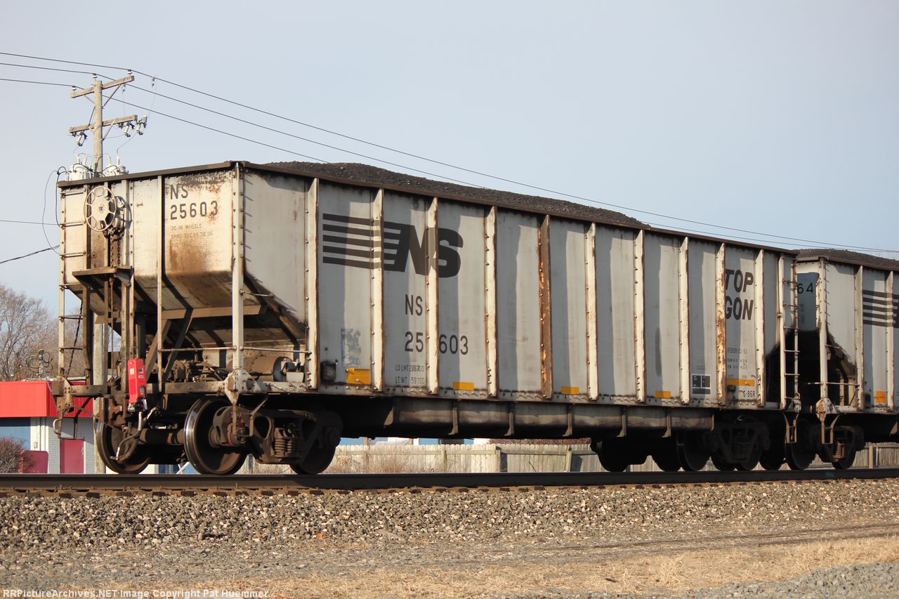 NS 25603