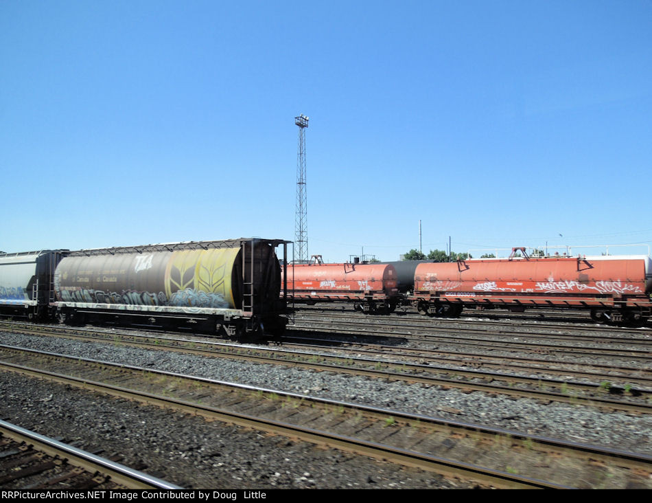 CIGX 803016