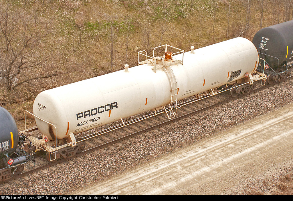 AGCX 10063 on M-LINTUL1-16