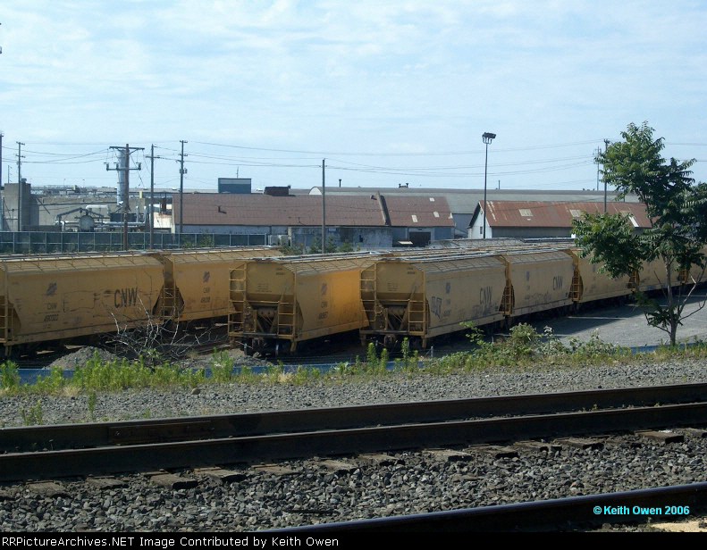 Lots of CNW Cars