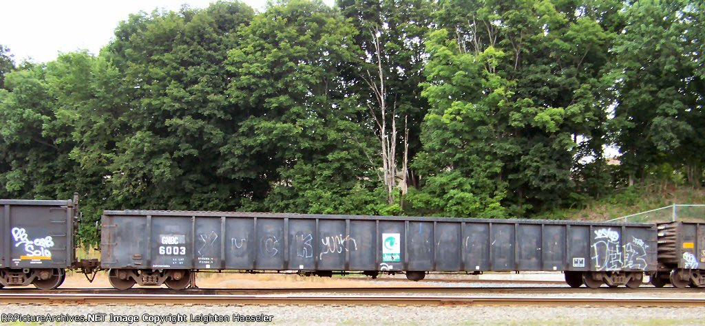GNBC 6003