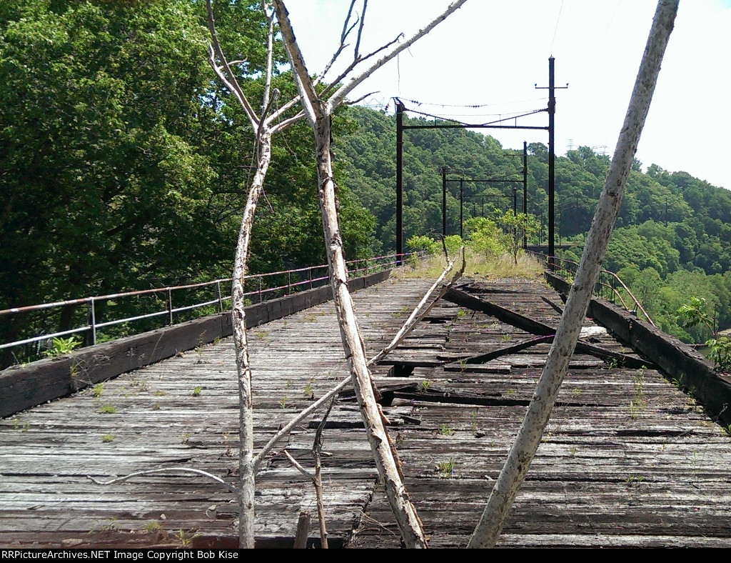 Looking through the chain link fence at the high bridge deck