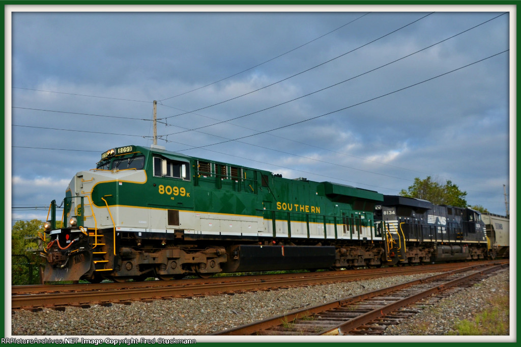 NS 8099 is a pretty thing.