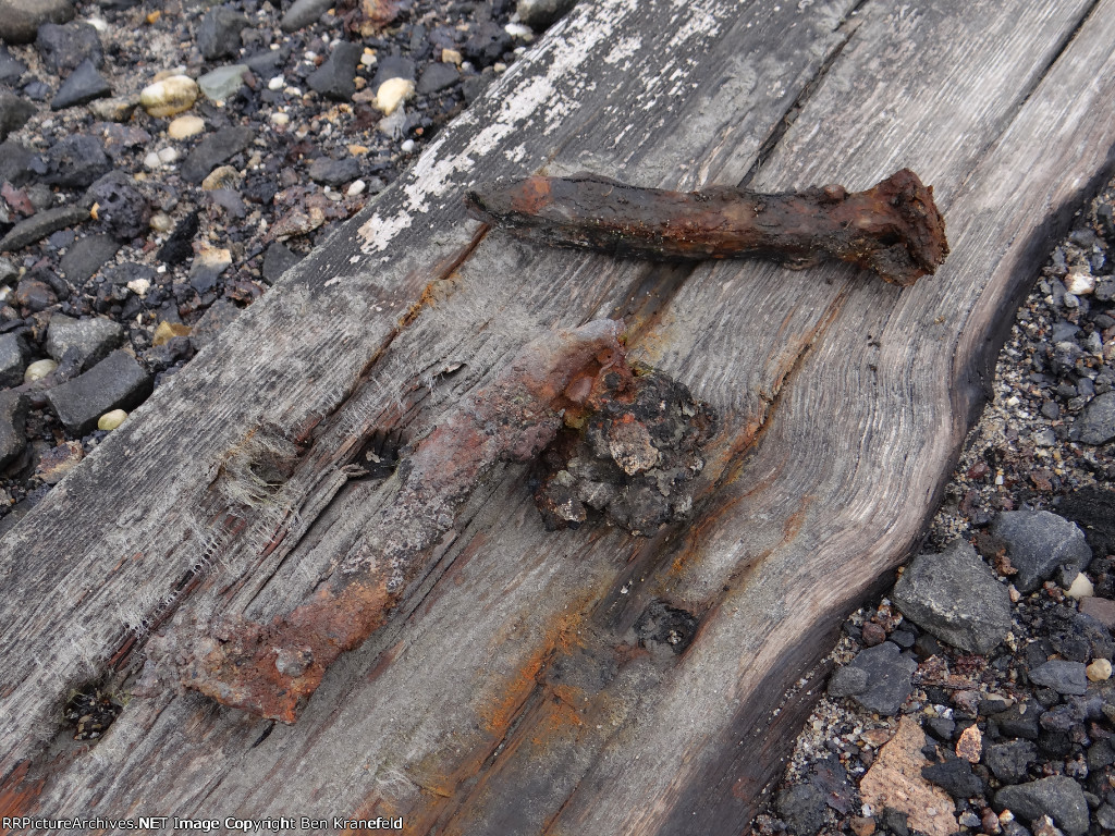 Cold Spring Harbor Loop