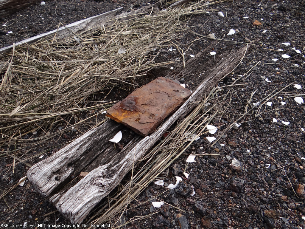 Cold Spring Harbor Loop