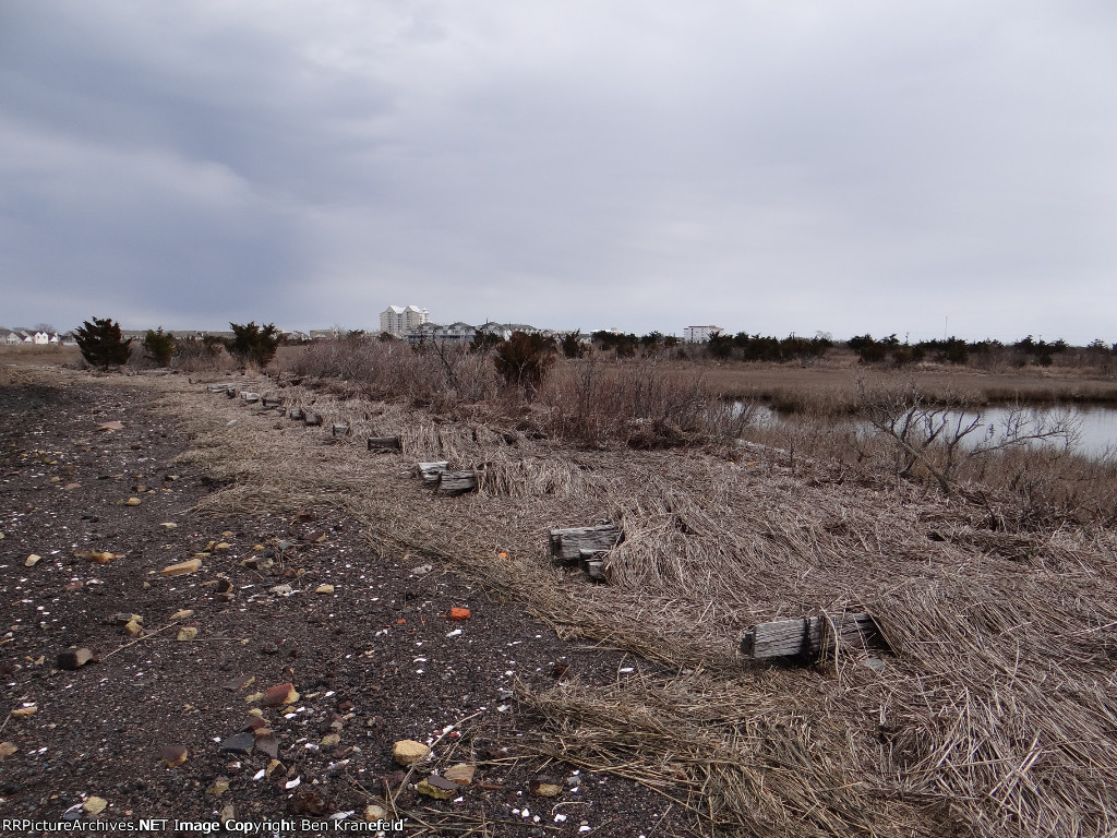 Cold Spring Harbor Loop