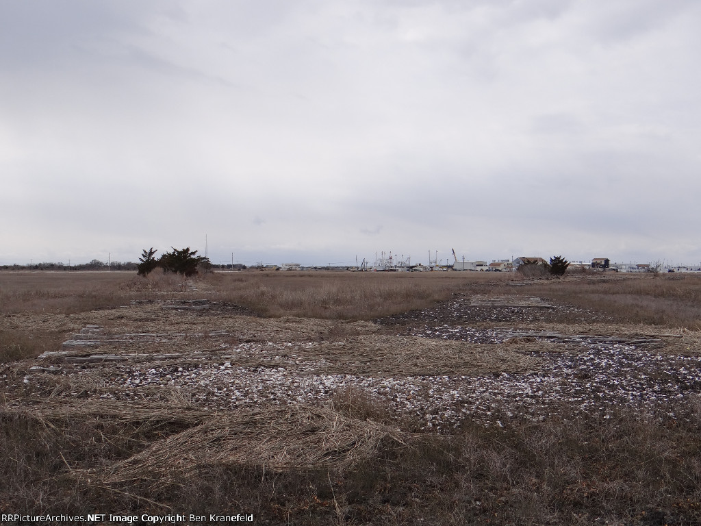 Cold Spring Harbor Loop