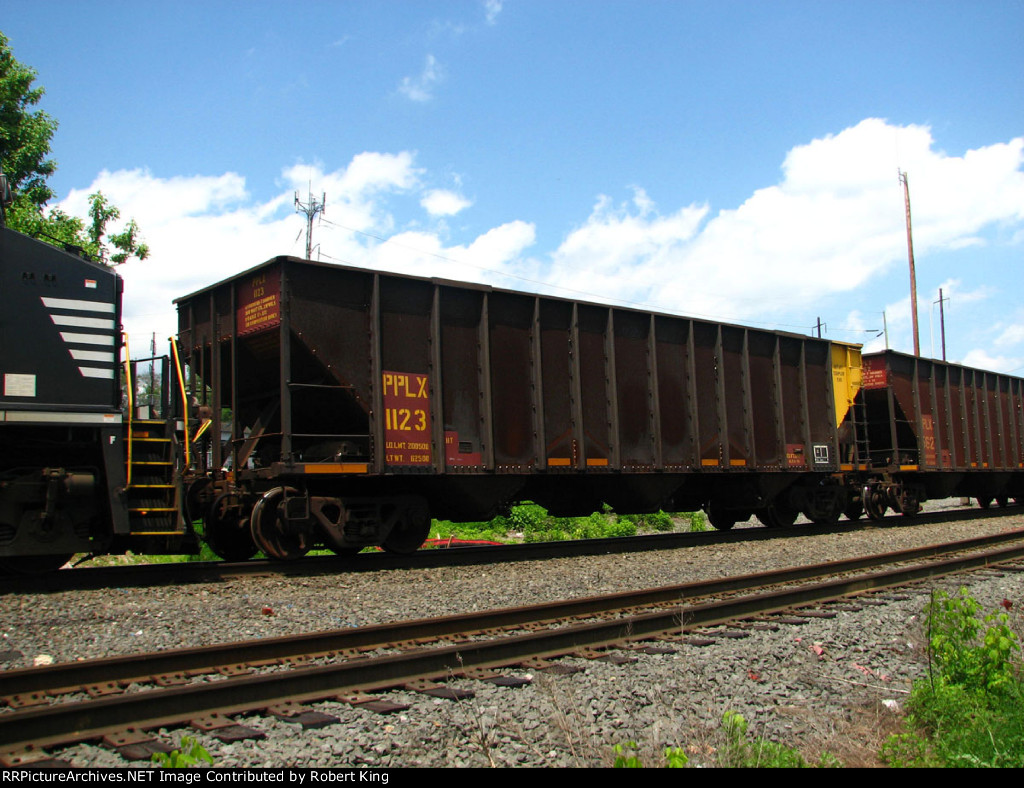 PPLX 1123
