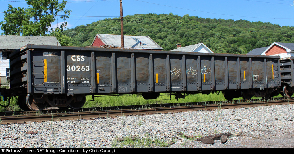 CSS 30263