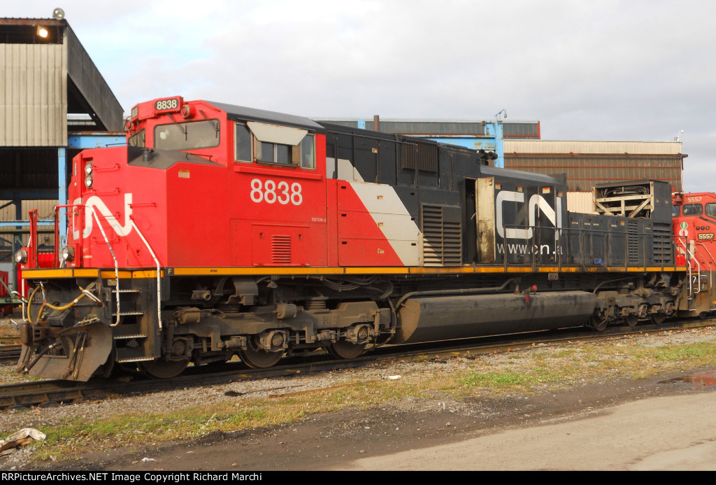 CN 8838
