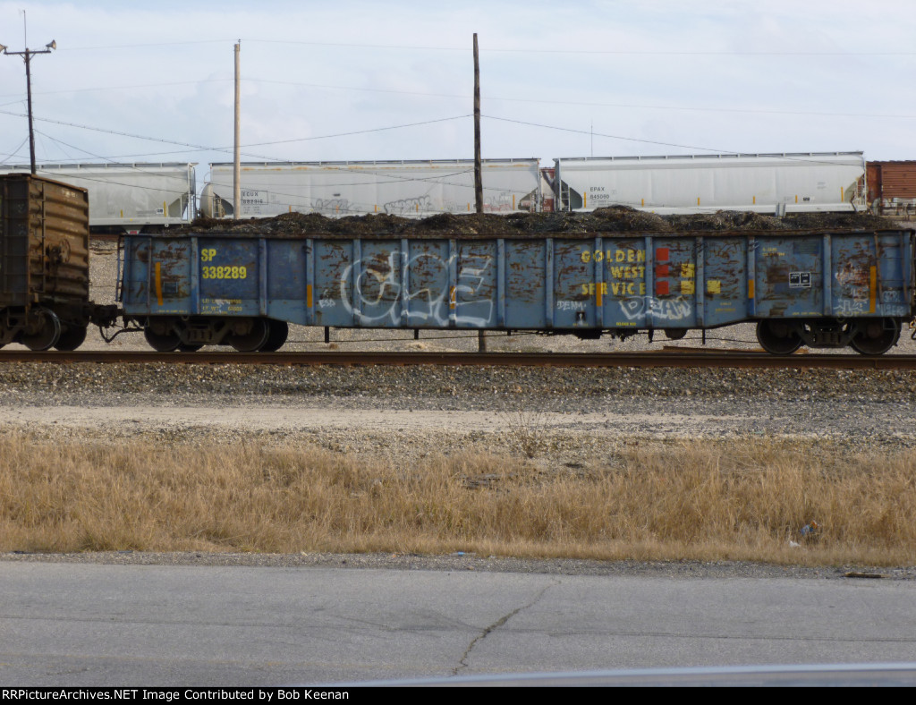 SP 338289