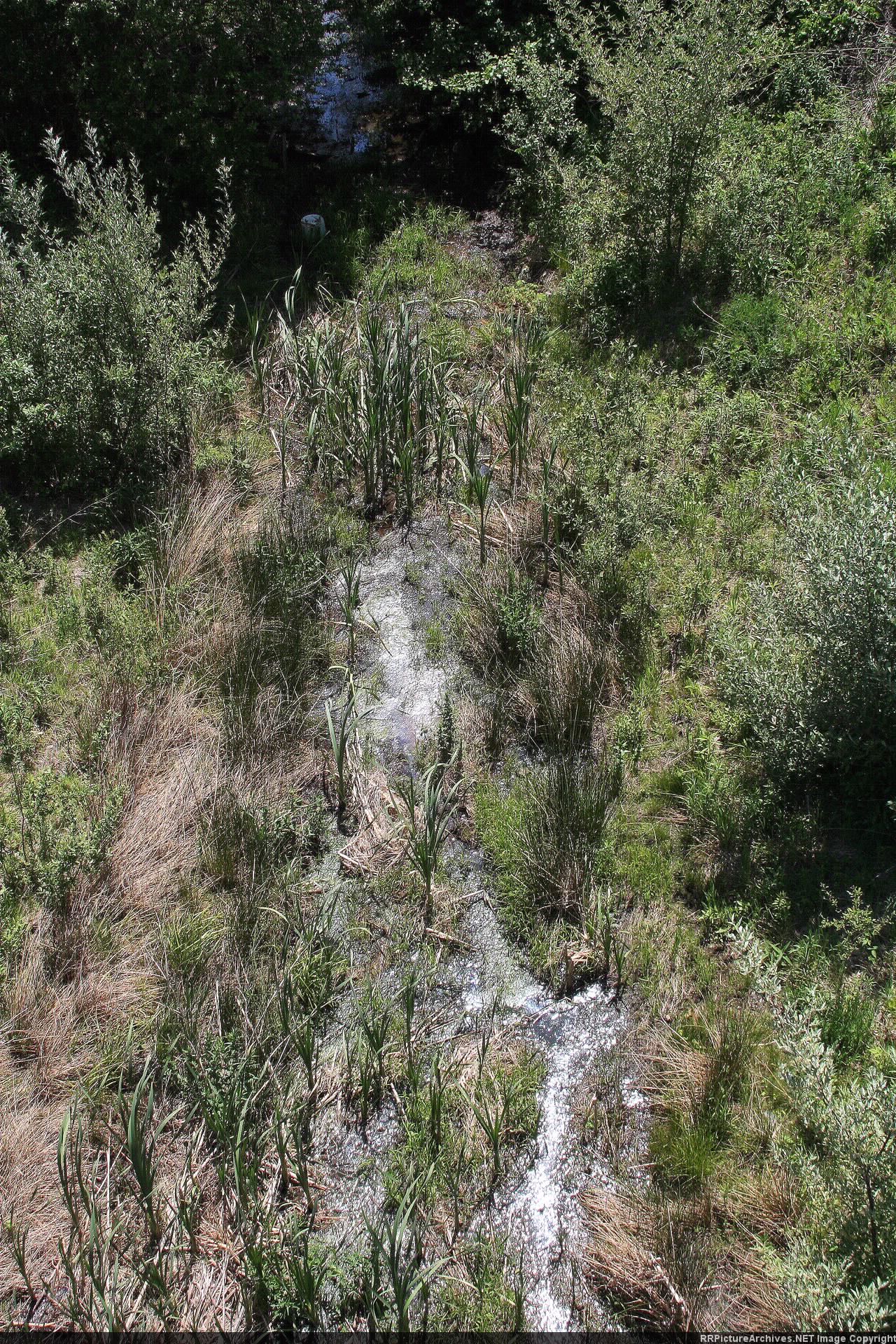 Untitled [www.rrpicturearchives.net]