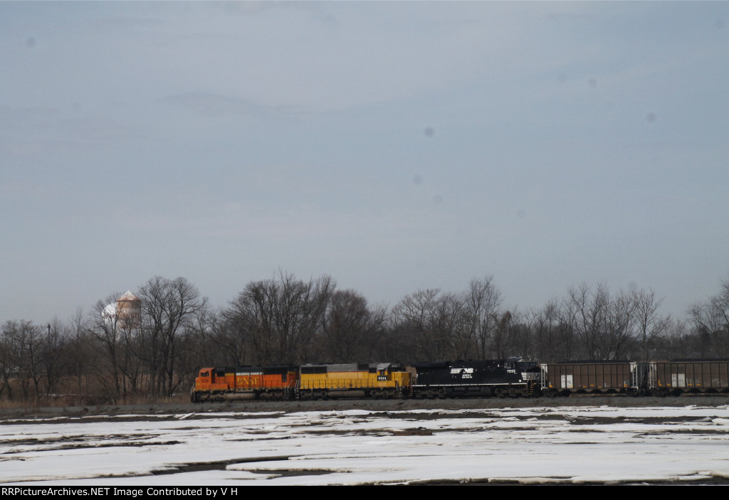 Another Daylight NS 506