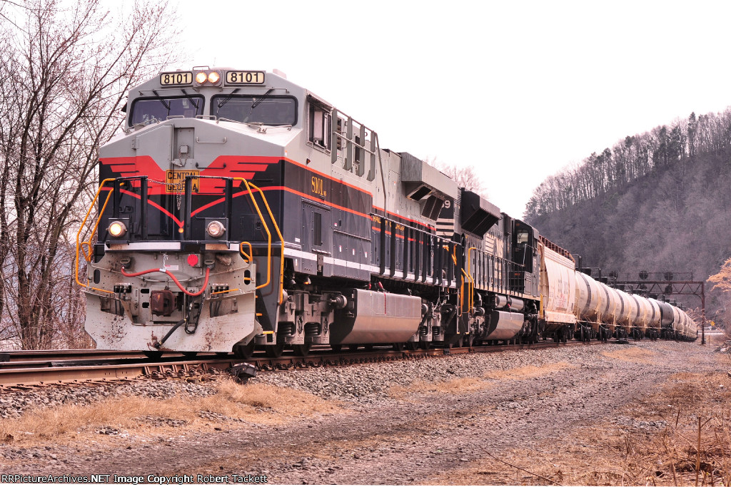 NS 8101