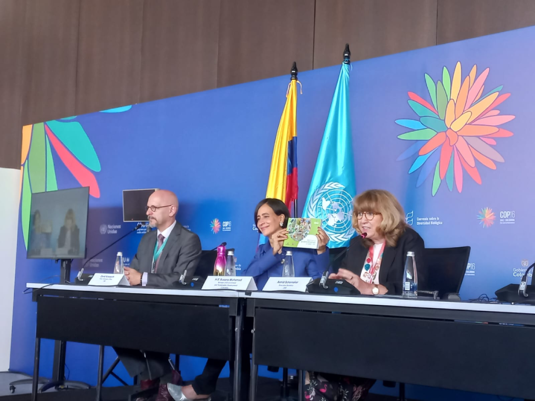 COP16: Programación de la Zona Azul para el 1 de noviembre