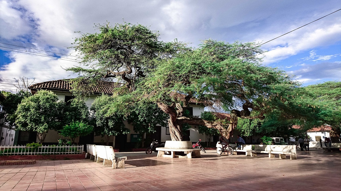 Pedro Paulo, nuestro guía en el desierto | Radio Nacional