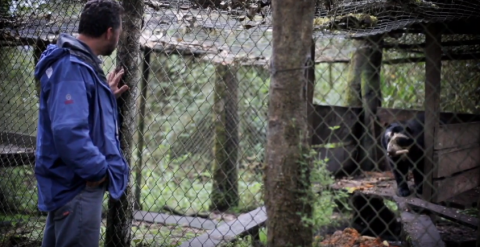 Historias de rescate animal en Señal Colombia | Señal Colombia